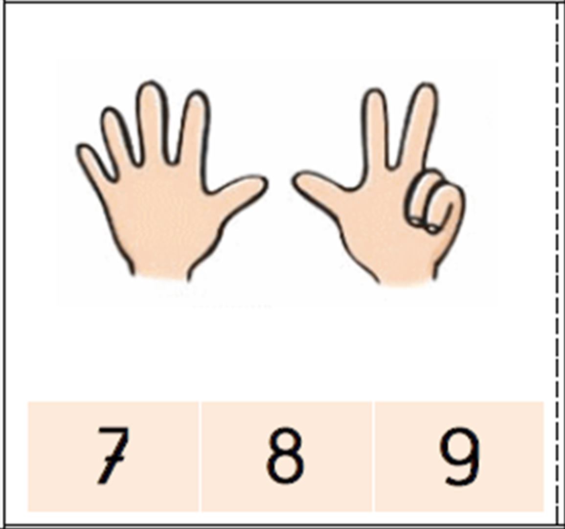 cartes à doigts, atelier autonome, maternelle, numération, phonologie cartes à doigts, atelier autonome, maternelle, numération, phonologie