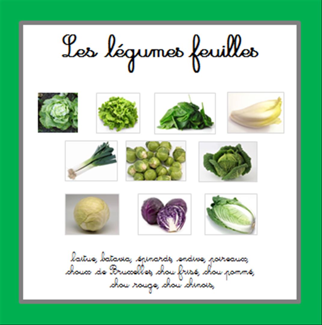 images classifiées et renseignées sur les légumes